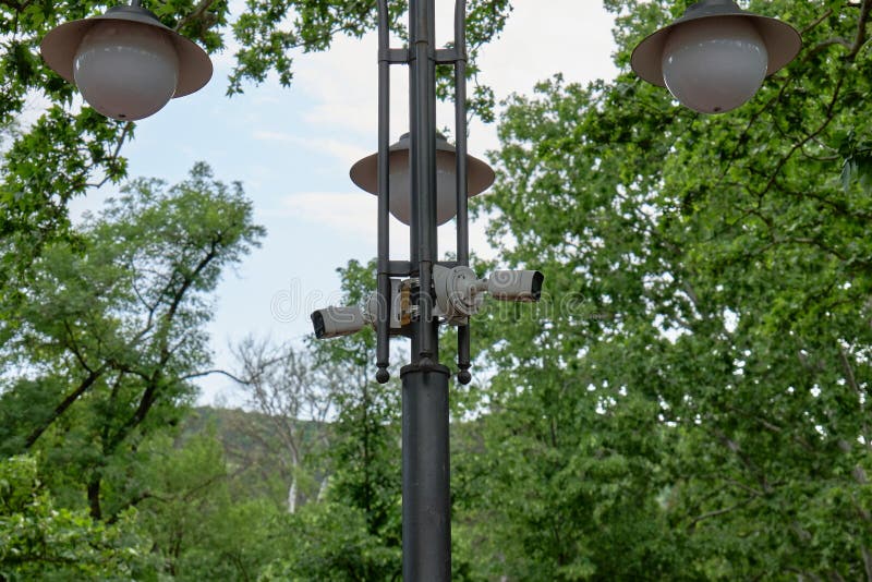 Multiple Security Cameras Mounted on a Pole in a Lush Park Area Stock ...