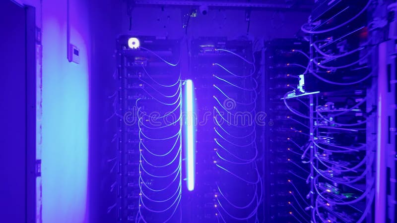 Multiple Servers with Flashing Red Stock Video - Video of computer ...