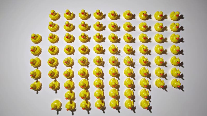 Yellow Rubber Ducks Forming Checkerboard Pattern on White Background ...