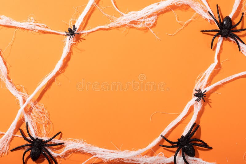 Multiple Spider Toys Forming a Spider Web with Copy Space Against ... Multiple Spider Toys Forming a Spider Web with Copy Space Against ...