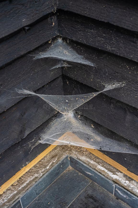 Multiple Spiders Web in a Corner by Black Walls.. Stock Image - Image ...