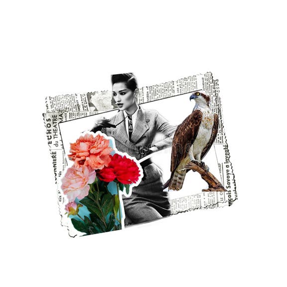 Digital Collage #2 stock illustration. Illustration of characteristics ...