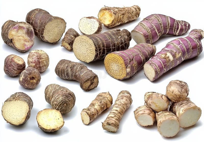 Multiple Taro Root Varieties, Cross Section, Isolated on White ...