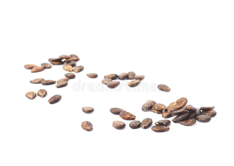 Multiple Watermelon Seeds Isolated Stock Photo - Image of nutritious ...
