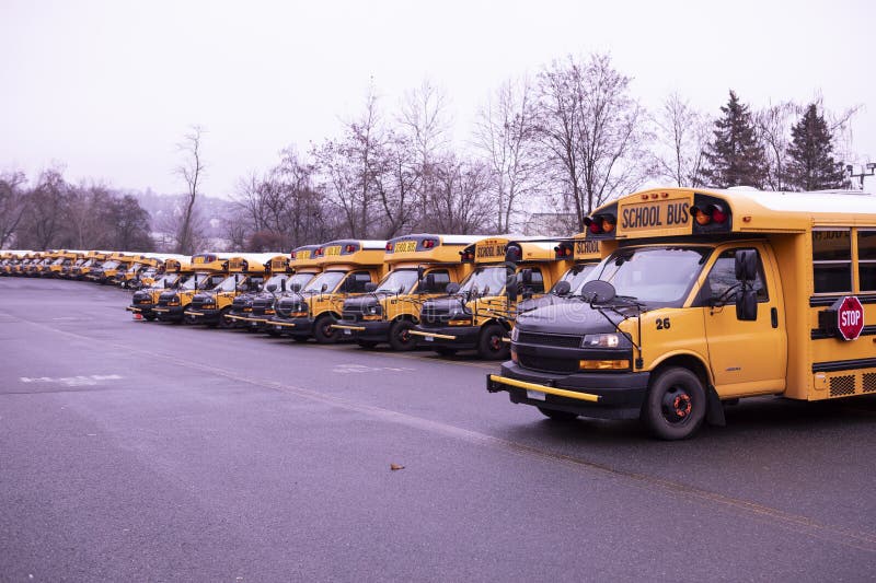 Multiple Yellow School Buses in a Row Editorial Image - Image of truck ...