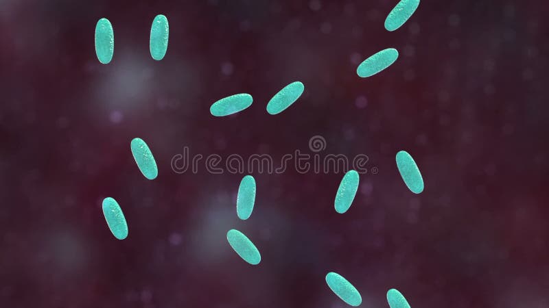 Multiplication of Bacteria, Animation Stock Footage - Video of ...