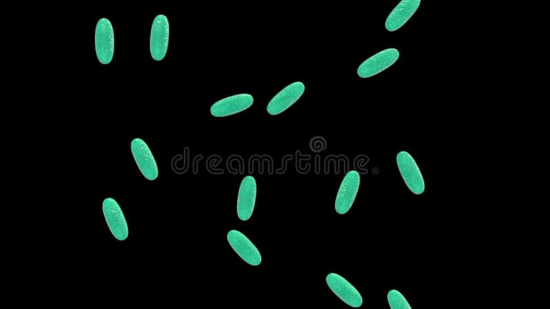 Bacteria Animation stock video. Video of animation, scientific - 350069415