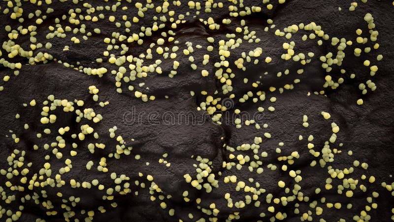 Multiplication Du Virus De La Couronne Sous Le Microscope Illustration ...