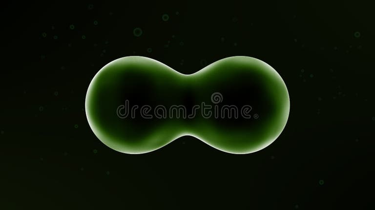Multiplying Cells stock illustration. Illustration of cloning - 13653335