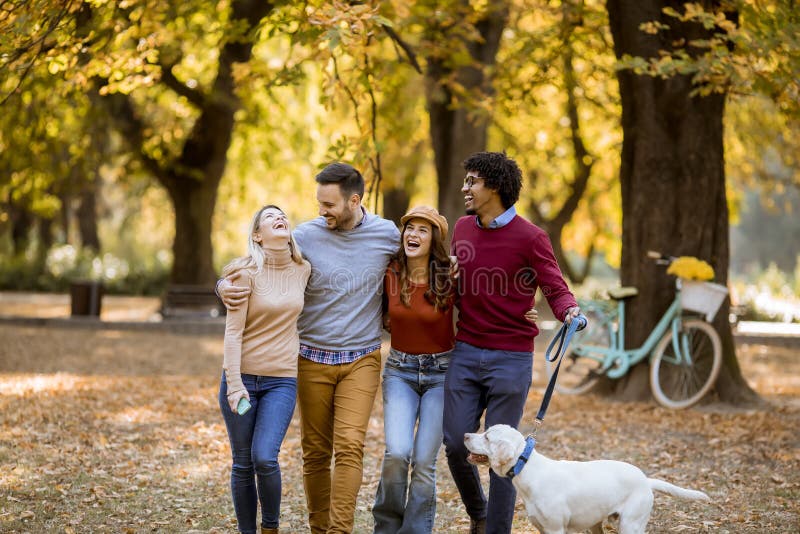 Multiracial Young People Walking in the Autumn Park and Having Fun ...
