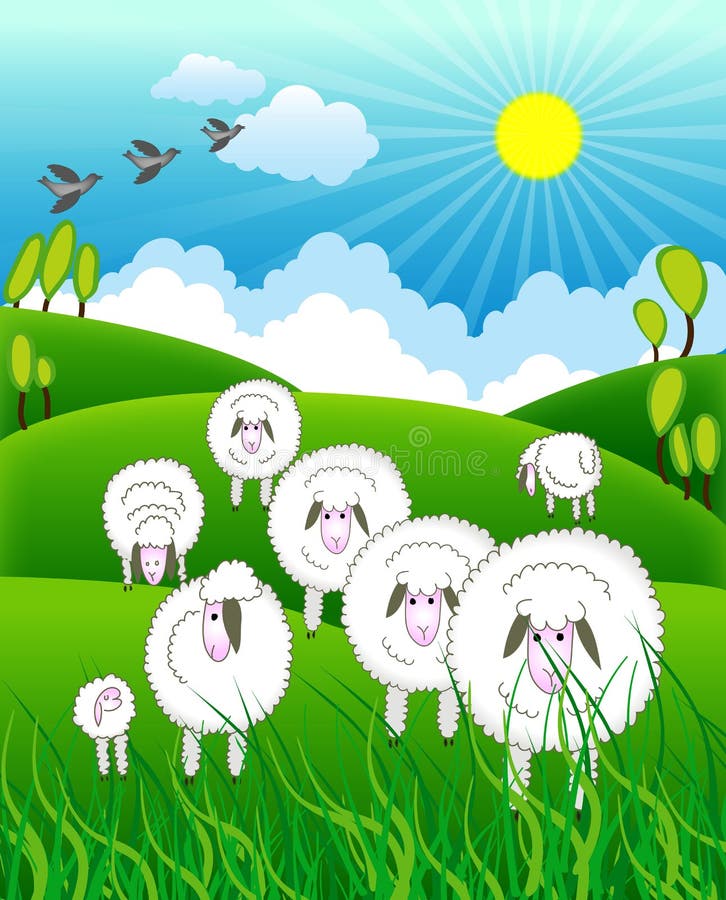 Granja De Las Ovejas Etapas Del Sistema Del Crecimiento Del Cordero ...