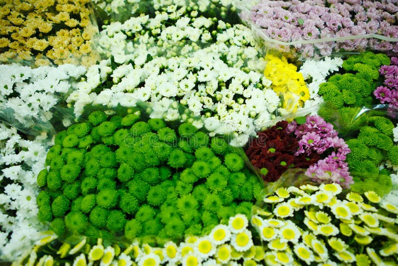 Multitude of color flowers stock photo. Image of product - 47756980