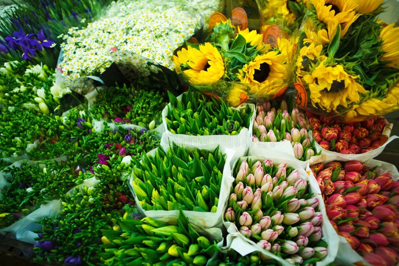 Multitude of color flowers stock image. Image of production - 48264661