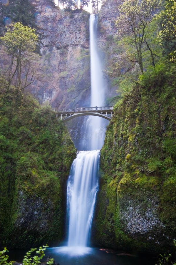 Multnoma falls stock photo. Image of waterfall, stream - 12156762