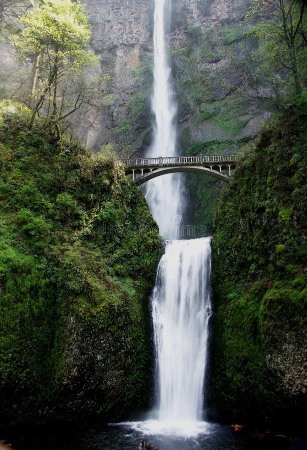 Multnomah Falls stock image. Image of falls, bridge, spring - 21190765
