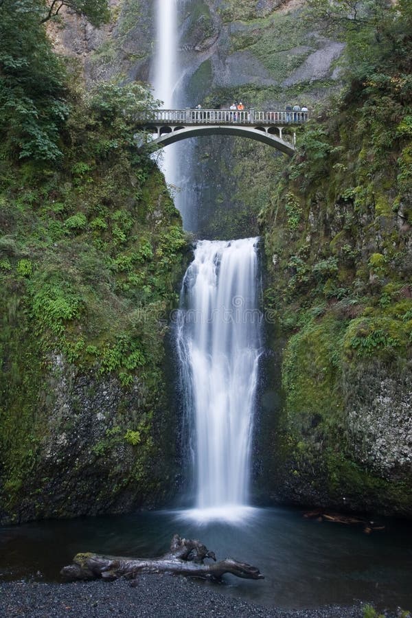 Multnomah Falls in Oregon stock photo. Image of waterfall - 43570028