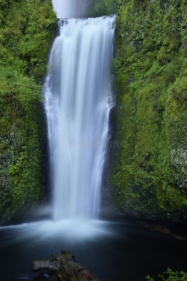 Multnomah Falls stock image. Image of bridge, multnomah - 20451429