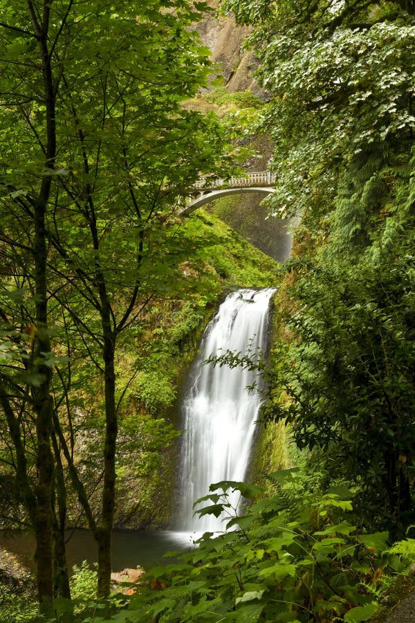 Multnomah Falls stock photo. Image of multnomah, high - 22306264