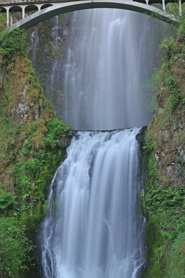 Multnomah falls oregon stock photo. Image of nature, columbia - 849736