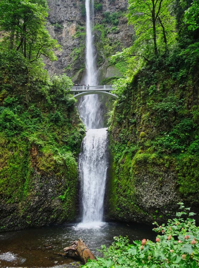 Multnomah Falls Columbia Gorge Oregon Stock Image - Image of tree ...