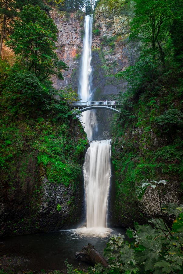 Multnomah Falls, Columbia River Gorge, Oregon Stock Image - Image of ...