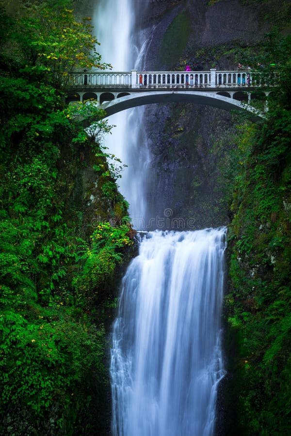 Multnomah Falls, Columbia River Gorge, Oregon Stock Photo - Image of ...