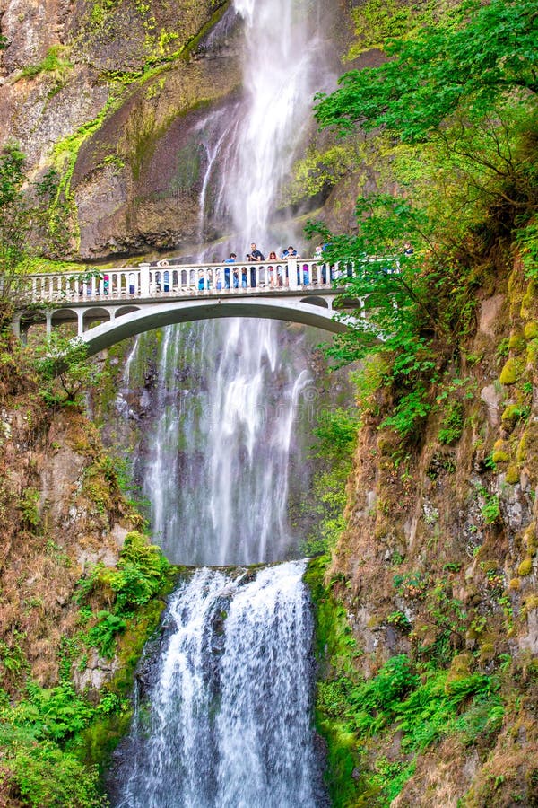 Multnomah Falls, Columbia RIver Gorge - Oregon Stock Image - Image of ...