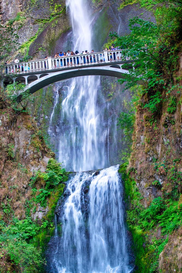 Multnomah Falls, Columbia RIver Gorge - Oregon Stock Image - Image of ...
