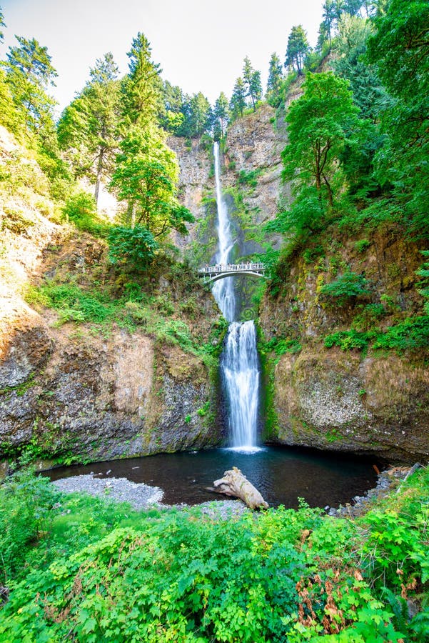 Multnomah Falls, Columbia RIver Gorge - Oregon Stock Photo - Image of ...