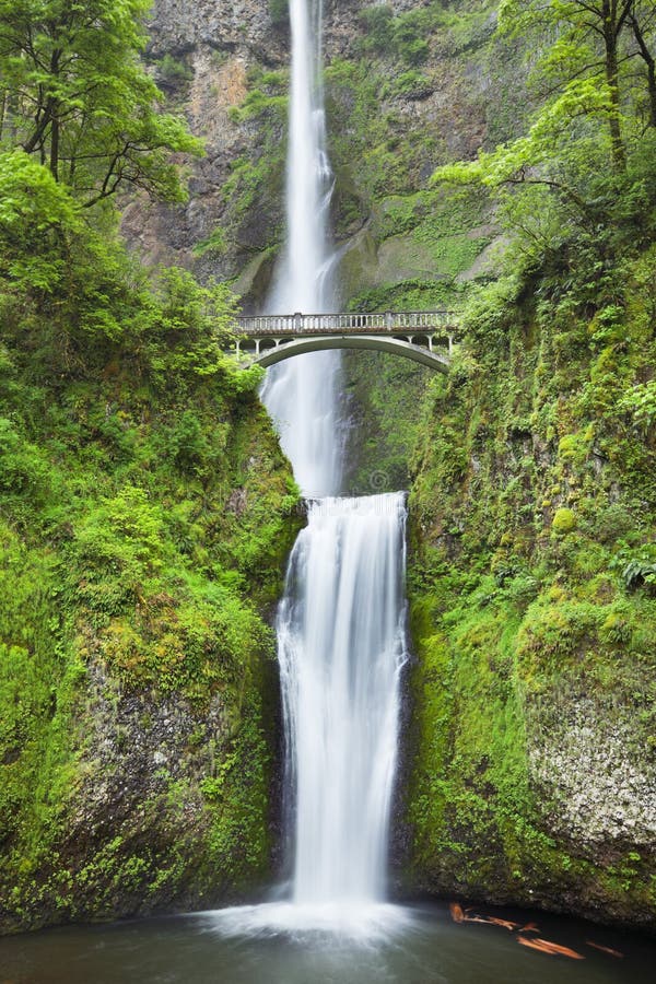 Multnomah Falls in the Columbia River Gorge, Oregon, USA Stock Photo ...