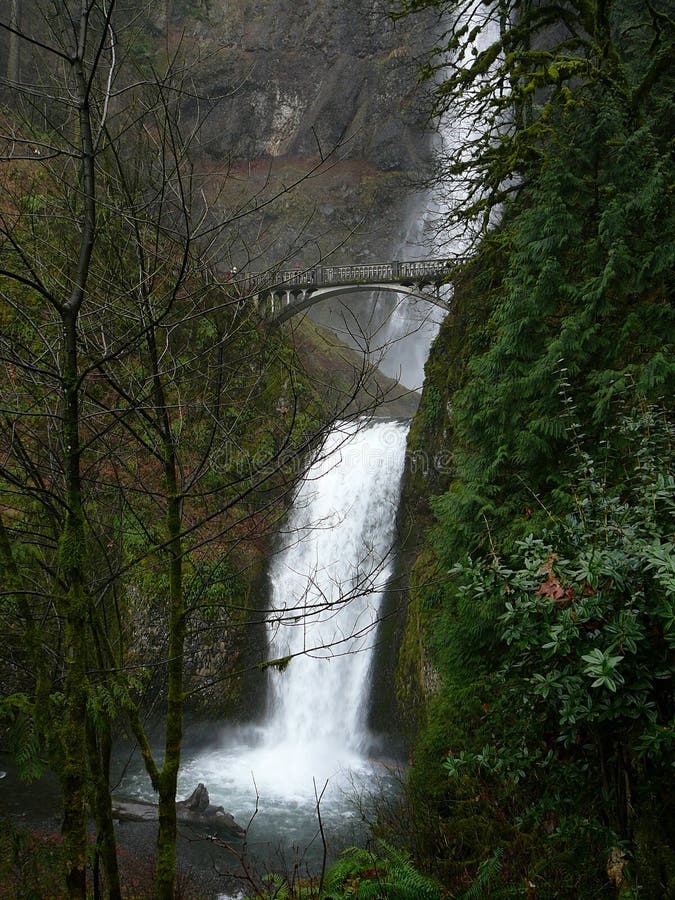 Multnomah Falls in the Columbia River Valley Gorge in Oregon Stock ...