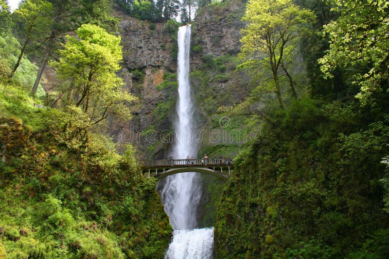 Multnomah Falls stock image. Image of falls, bridge, spring - 21190765