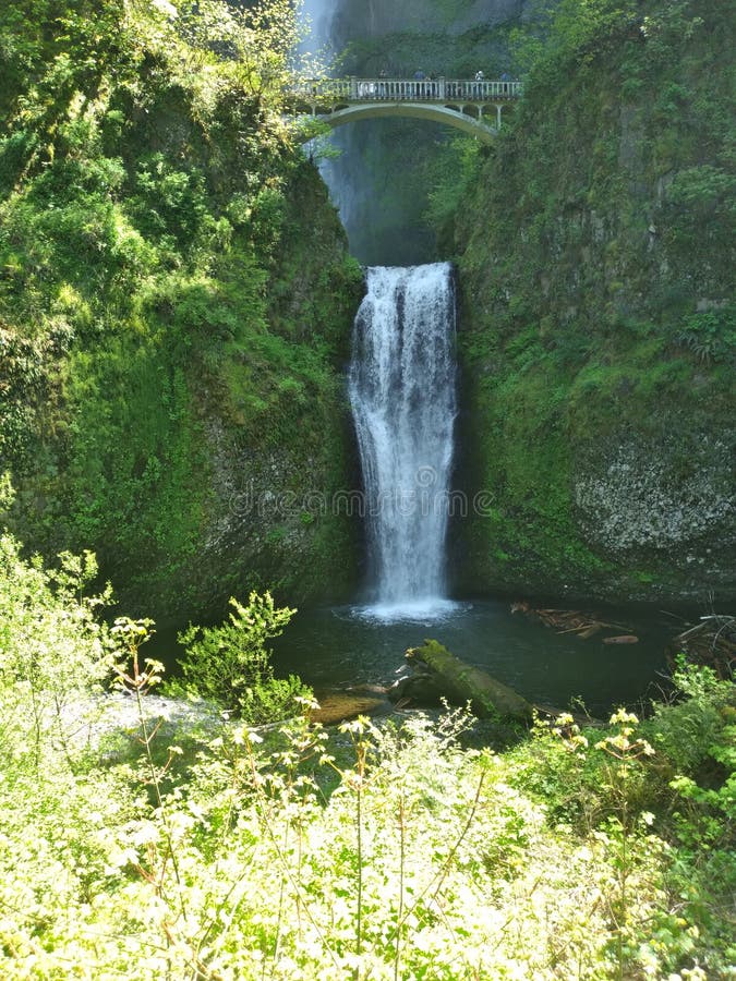Multnomah Falls 9 stock photo. Image of forest, waterfall - 233122078