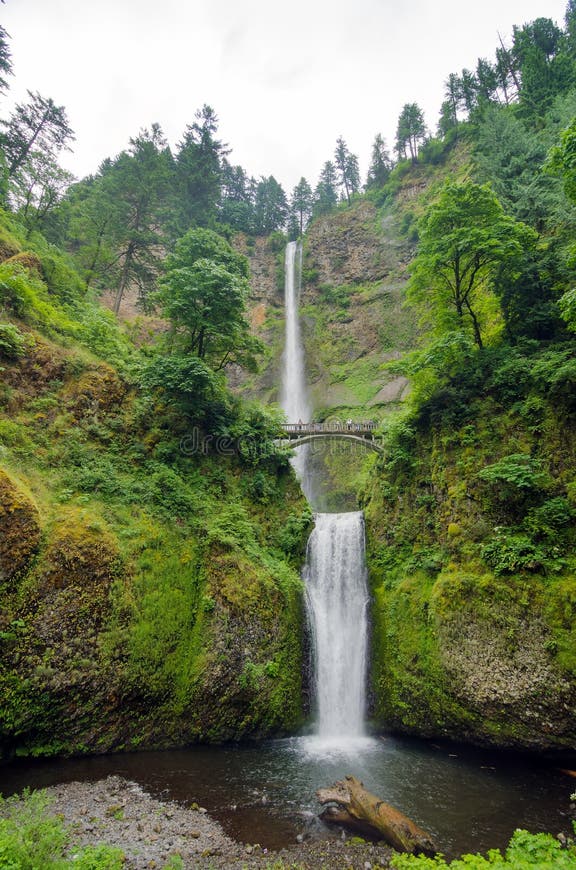 Multnomah Falls stock image. Image of footbridge, cascade - 32663879