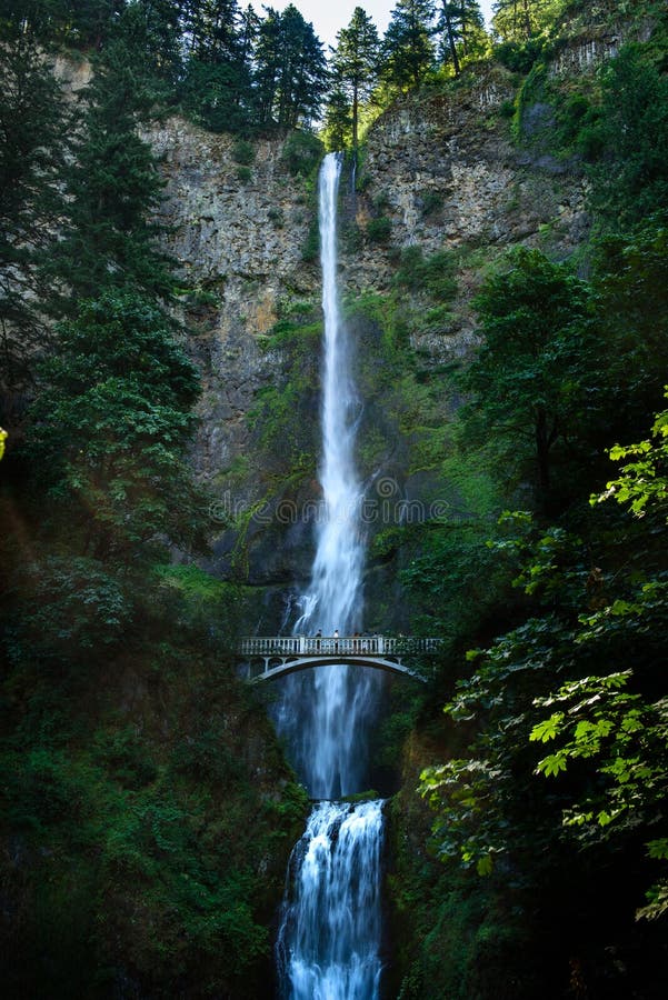 Multnomah Falls stock image. Image of falls, trees, water - 167120579
