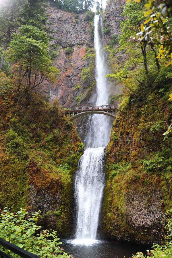 Multnomah falls oregon stock photo. Image of nature, columbia - 849736