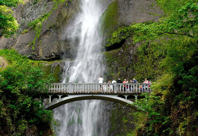 Multnomah Falls, Oregon stock photo. Image of stream, meadow - 7482980