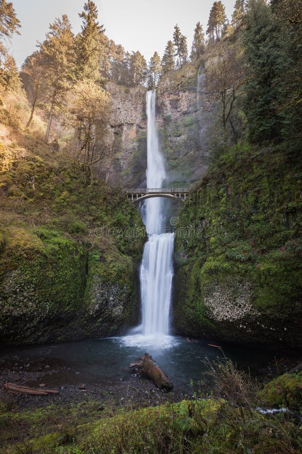 Spring In Multnomah Falls Oregon. Stock Image - Image of cliff ...