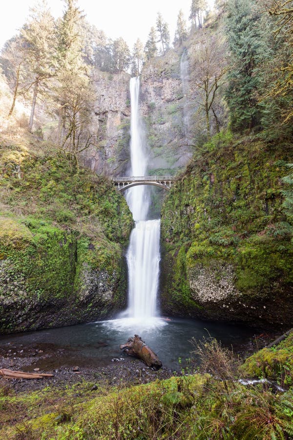 Multnomah Falls, Oregon stock image. Image of america - 40813893