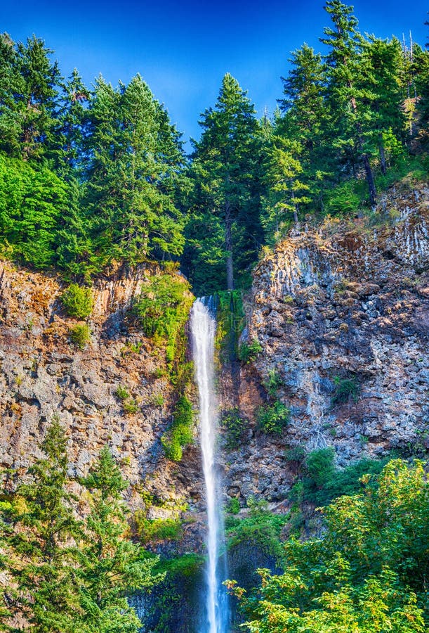 Multnomah Falls, Oregon stock image. Image of oregon - 127051885