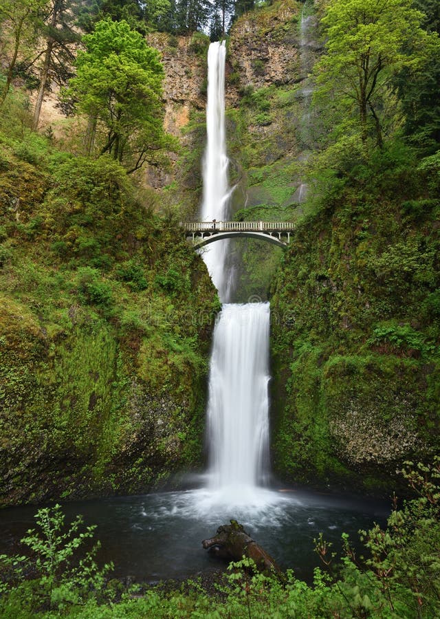 Multnomah Falls stock photo. Image of creek, oregon, spring - 93665272