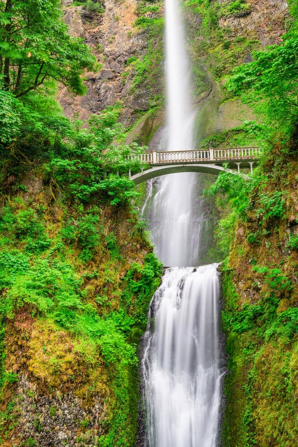Multnomah Falls, Oregon, USA Stock Image - Image of landscape, outdoors ...