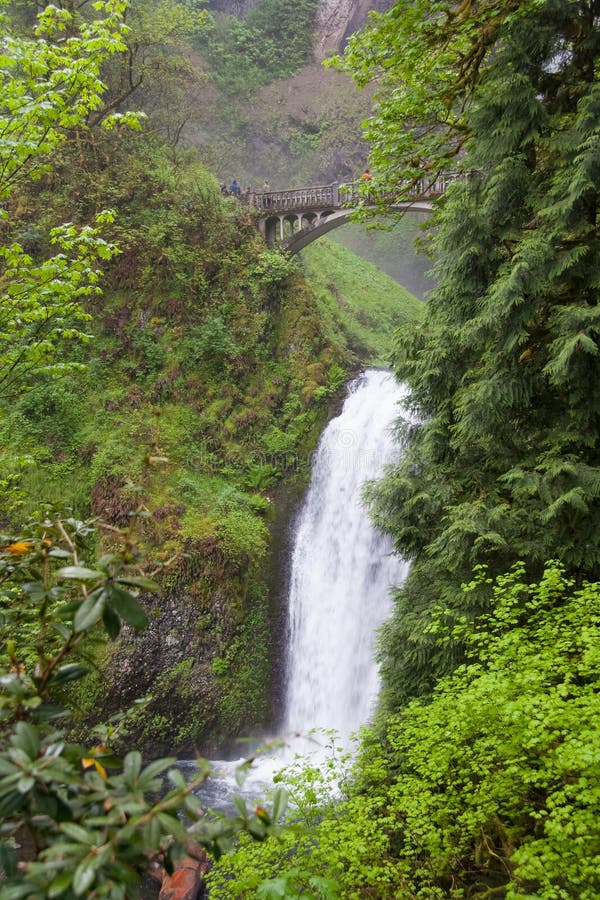 Multnomah Falls Oregon USA stock photo. Image of falls - 73003514