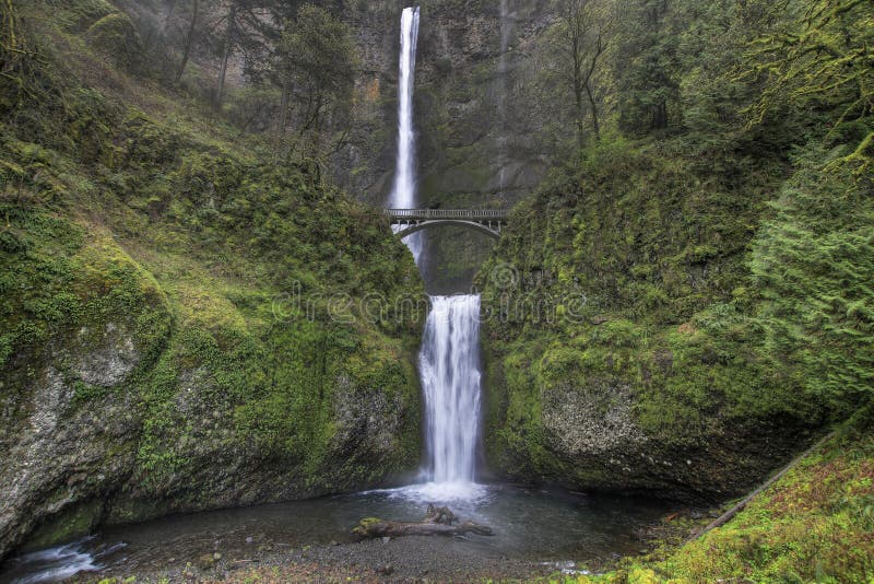 Multnomah Falls in Spring stock image. Image of trees - 13851737