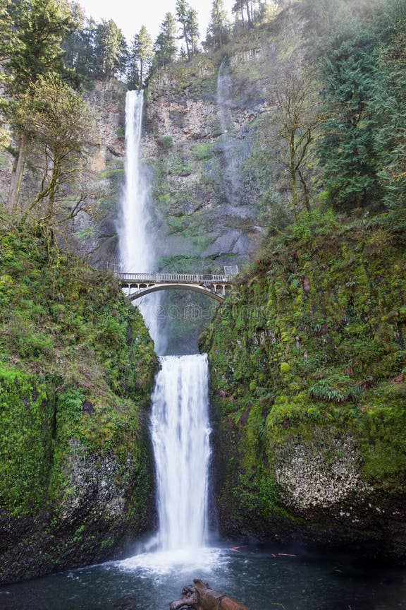 Multnomah Falls in Spring stock photo. Image of multnomah - 118456948