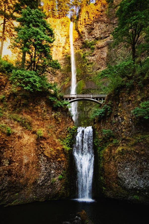 Multnomah falls at summer stock photo. Image of summer - 322443132