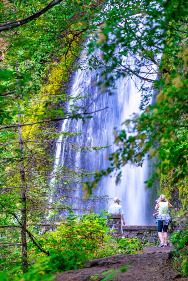 Multnomah Falls Waterfall in Summer, Columbia River Gorge, Oregon ...
