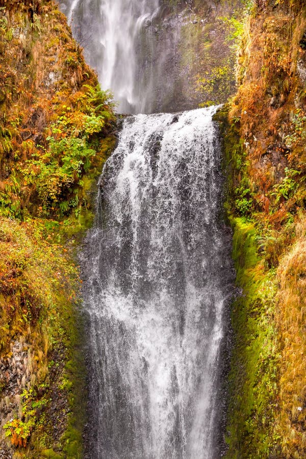 Waterfall - Multnomah Falls in Oregon Stock Image - Image of nature ...