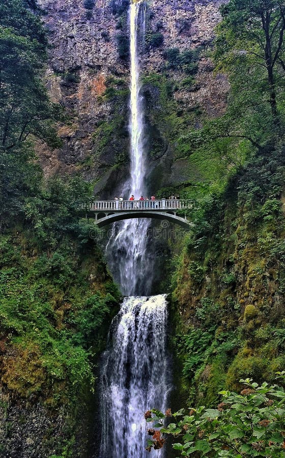 Multnomah Waterfall with Lush Green Foliage Stock Photo - Image of face ...