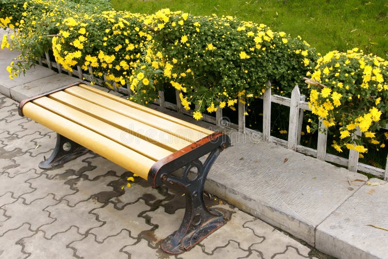 Mum and bench stock image. Image of flower, yellow, flowers - 16142769
